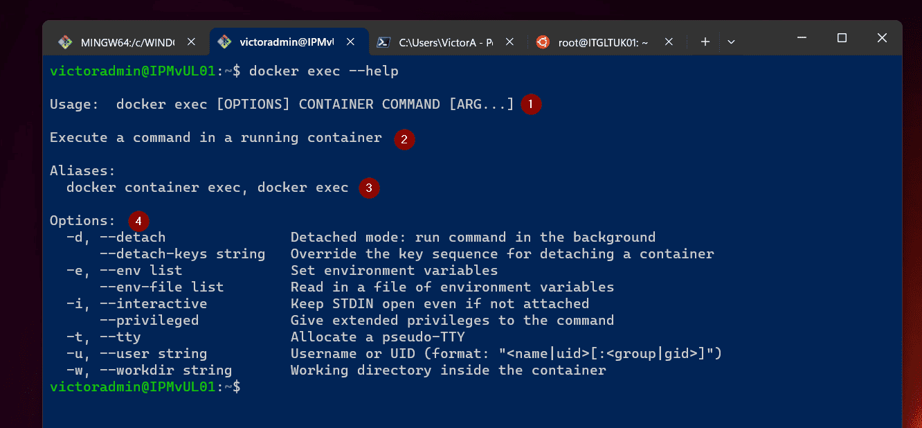 Docker Exec It Command Explained With Examples Cloudspress