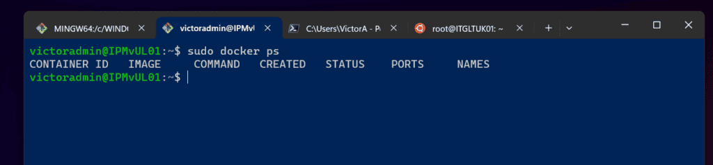 Docker Exec It Command Explained With Examples Cloudspress