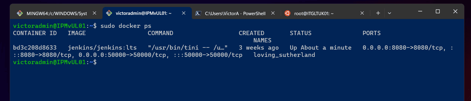 Docker Exec -it Command Explained with Examples - Cloudspress