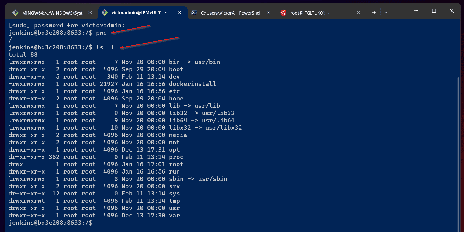 Docker Exec -it Command Explained with Examples - Cloudspress