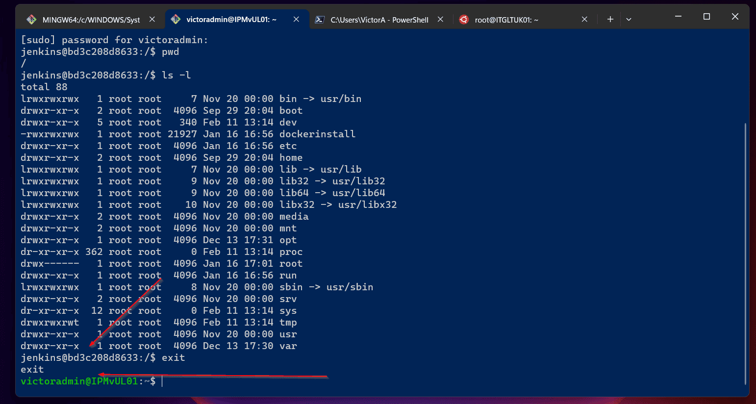 Docker Exec -it Command Explained with Examples - Cloudspress