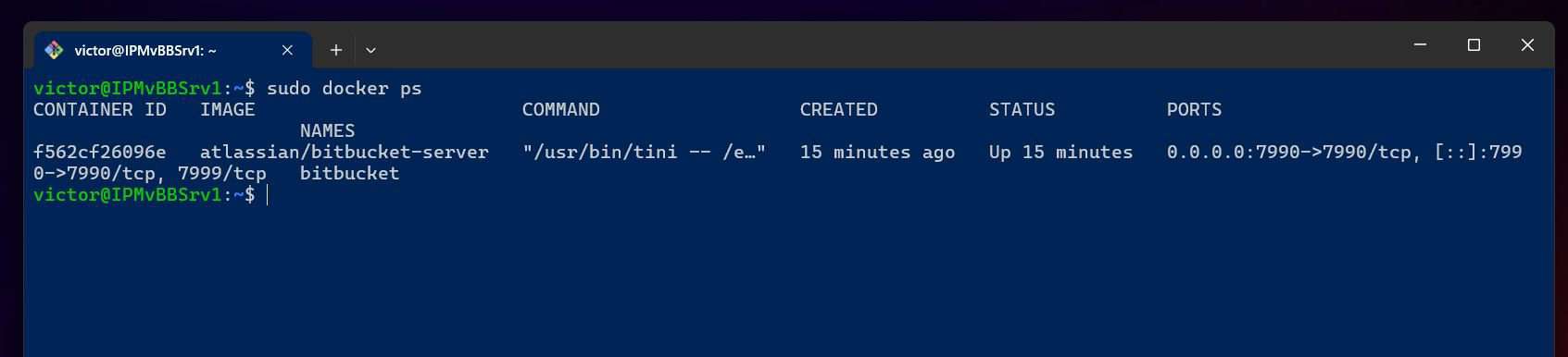 How to Install Bitbucket on Ubuntu using a Docker Container - Cloudspress